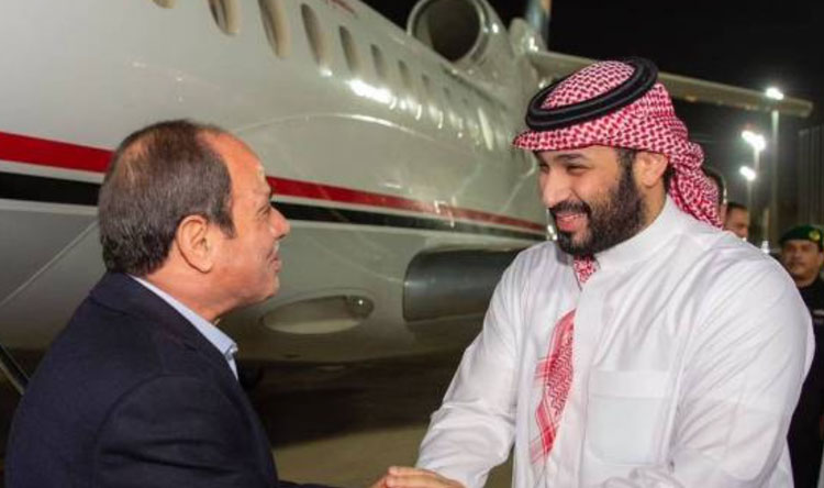 لقاء بن سلمان السيسي... حرص متبادل على تعزيز التعاون