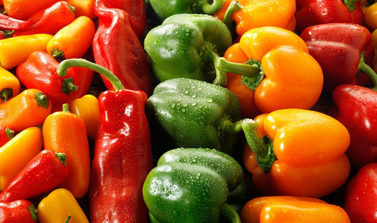 "الفلفل"... فوائد صحية لا نهاية لها! - Lebanese Forces Official Website