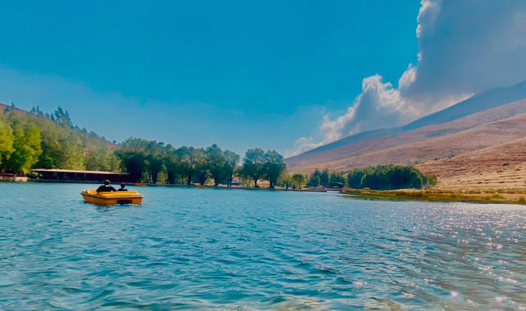 عيون أرغش - Lebanese Forces Official Website