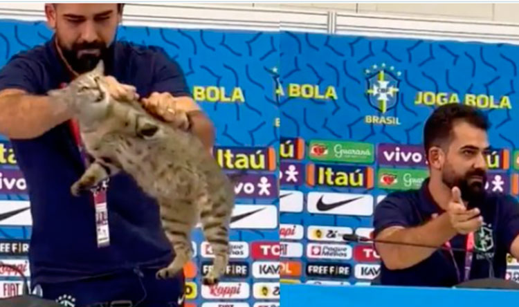 منتخب البرازيل يُصاب بـ"لعنة القطة"؟ - Lebanese Forces Official Website