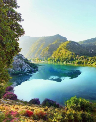 عيون السمك ـ عكار - Lebanese Forces Official Website