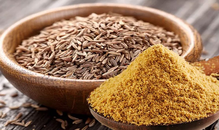 اليانسون.. فوائد مذهلة للنساء - Lebanese Forces Official Website