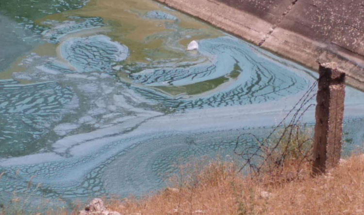 بالصور: عودة "السيانوبكتيريا" الى بحيرة القرعون - Lebanese Forces ...