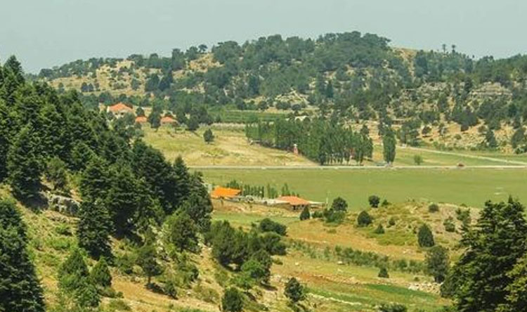 صورة من لبناني: القموعة ـ عكار - Lebanese Forces Official Website