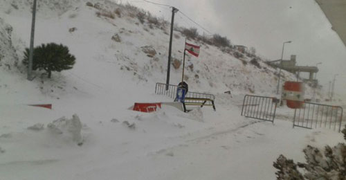 بالفيديو والصور: "فلاديمير" يتنقل في لبنان