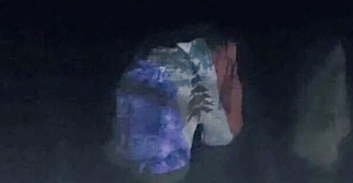 صخرة الروشة.. وتشويش الممناعة