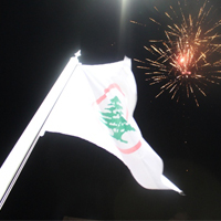 "القوات" تفتتح مكتب المنصورية – المكلس – الديشونية