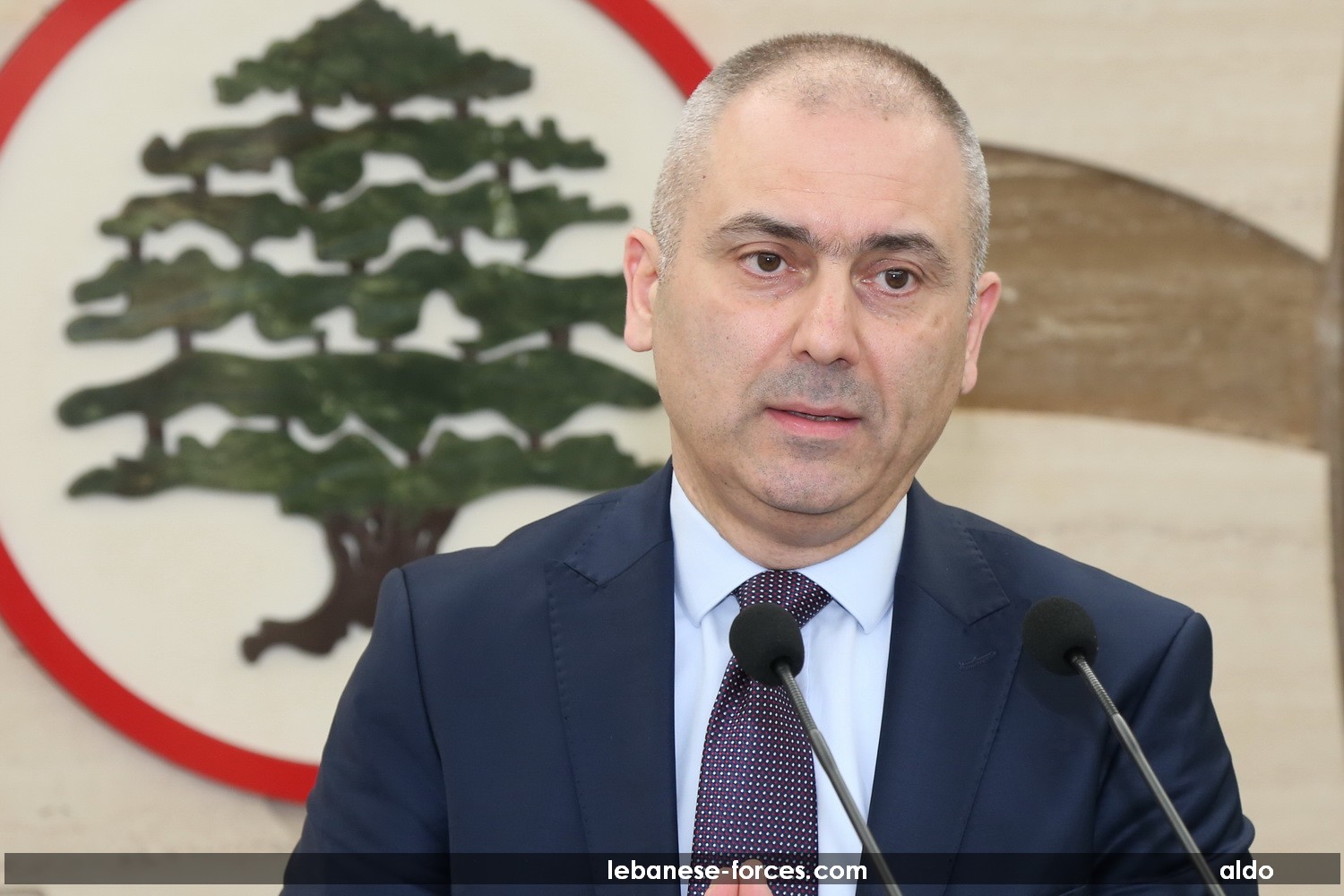 محفوض من معراب: عندما يقرر "حزب الله" الانسجام مع الدستور حينها نتداول ...